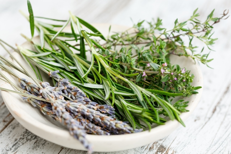 Hierbas aromáticas » Huerto en casa