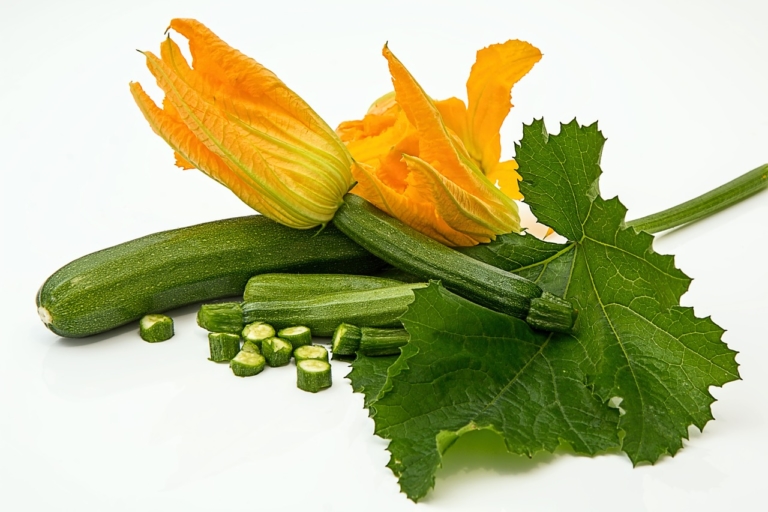 Calabaza verde » Huerto en casa