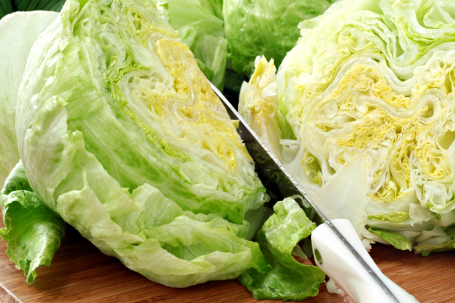 Cultivo de lechuga » Desde la siembra hasta la cosecha