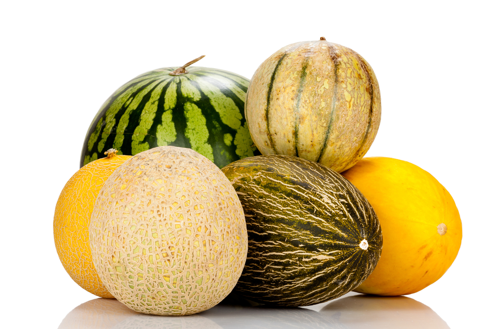 Origen, características, cultivo y propiedades del melón » Huerto en casa