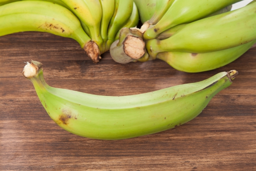 ¿Cómo se cultiva el plátano? » Huerto en casa