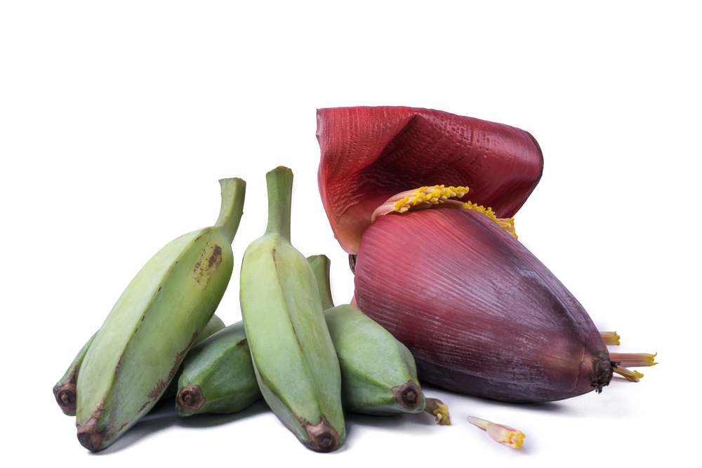 Plátano macho » Huerto en casa
