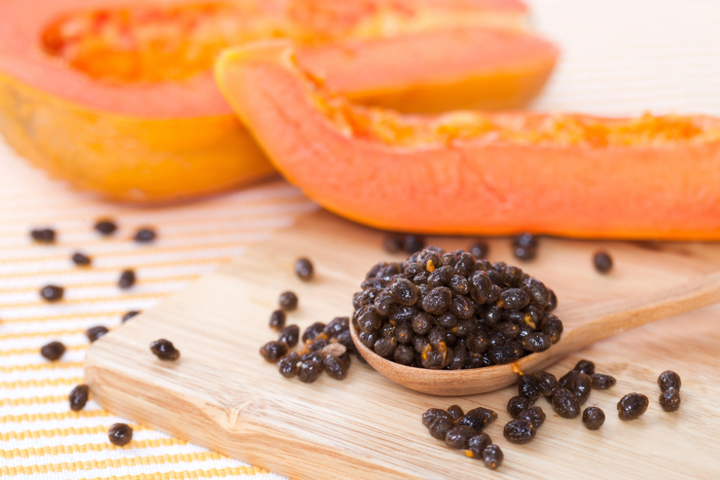 Todo sobre la papaya » Huerto en casa