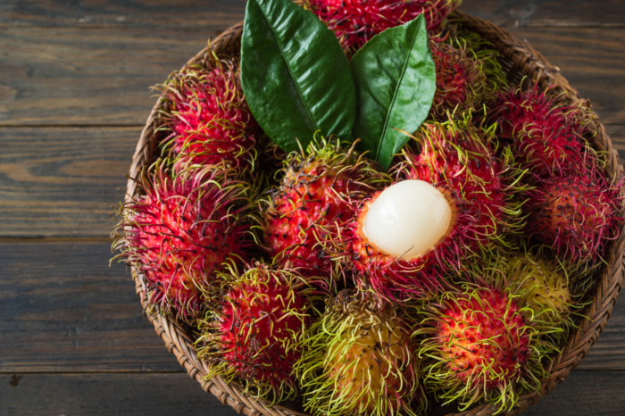 Cultivo de rambután » Huerto en casa